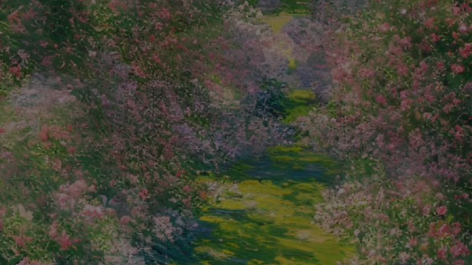 Claude Monet-posters – Aesthetic Posters